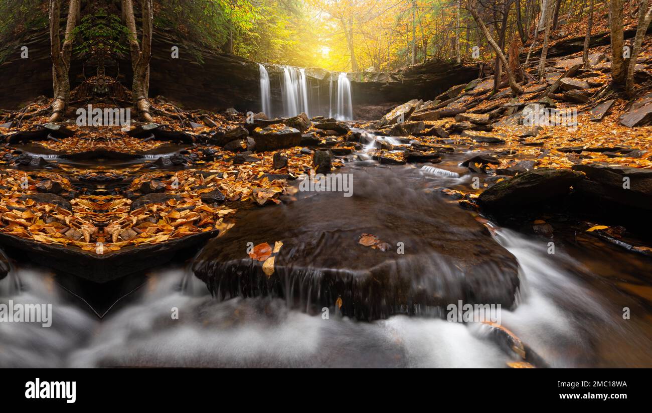 Hidden waterfall in the rainforest, Hidden river in the rainforest ...