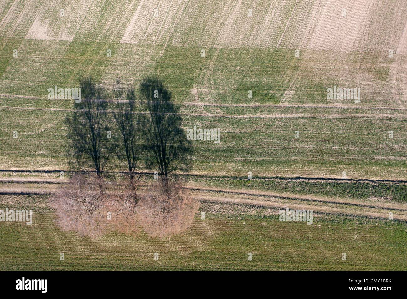 Aerial view of field path and individual trees Stock Photo - Alamy