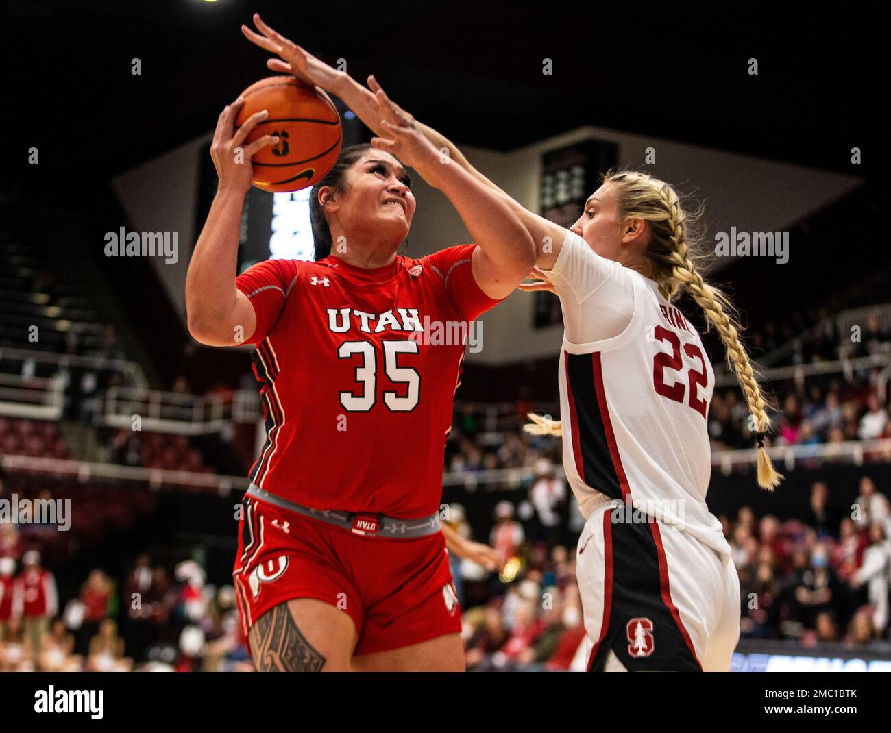 2023 0068 jpg hi-res stock photography and images - Alamy