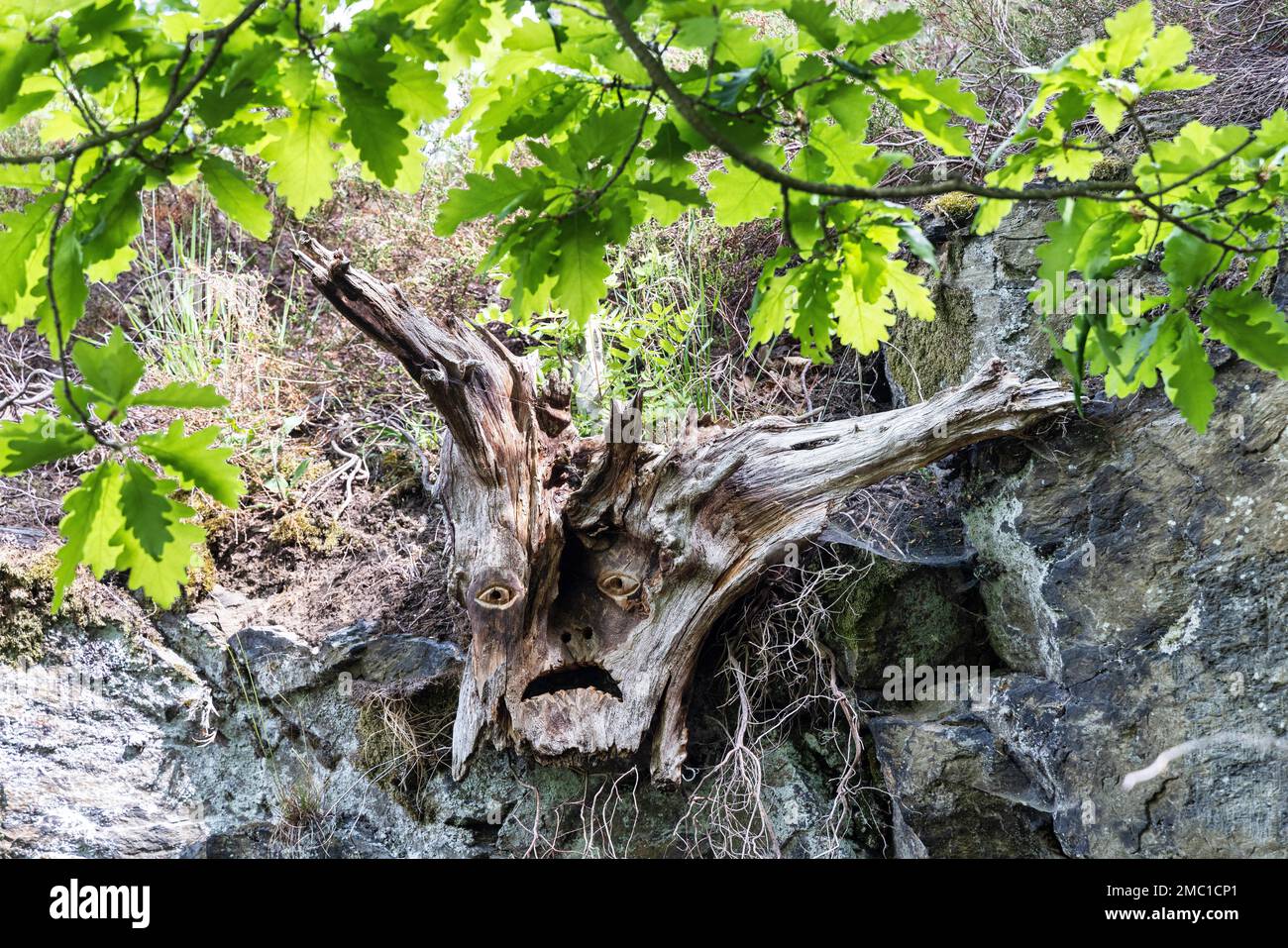 Spirit nature hi-res stock photography and images - Alamy