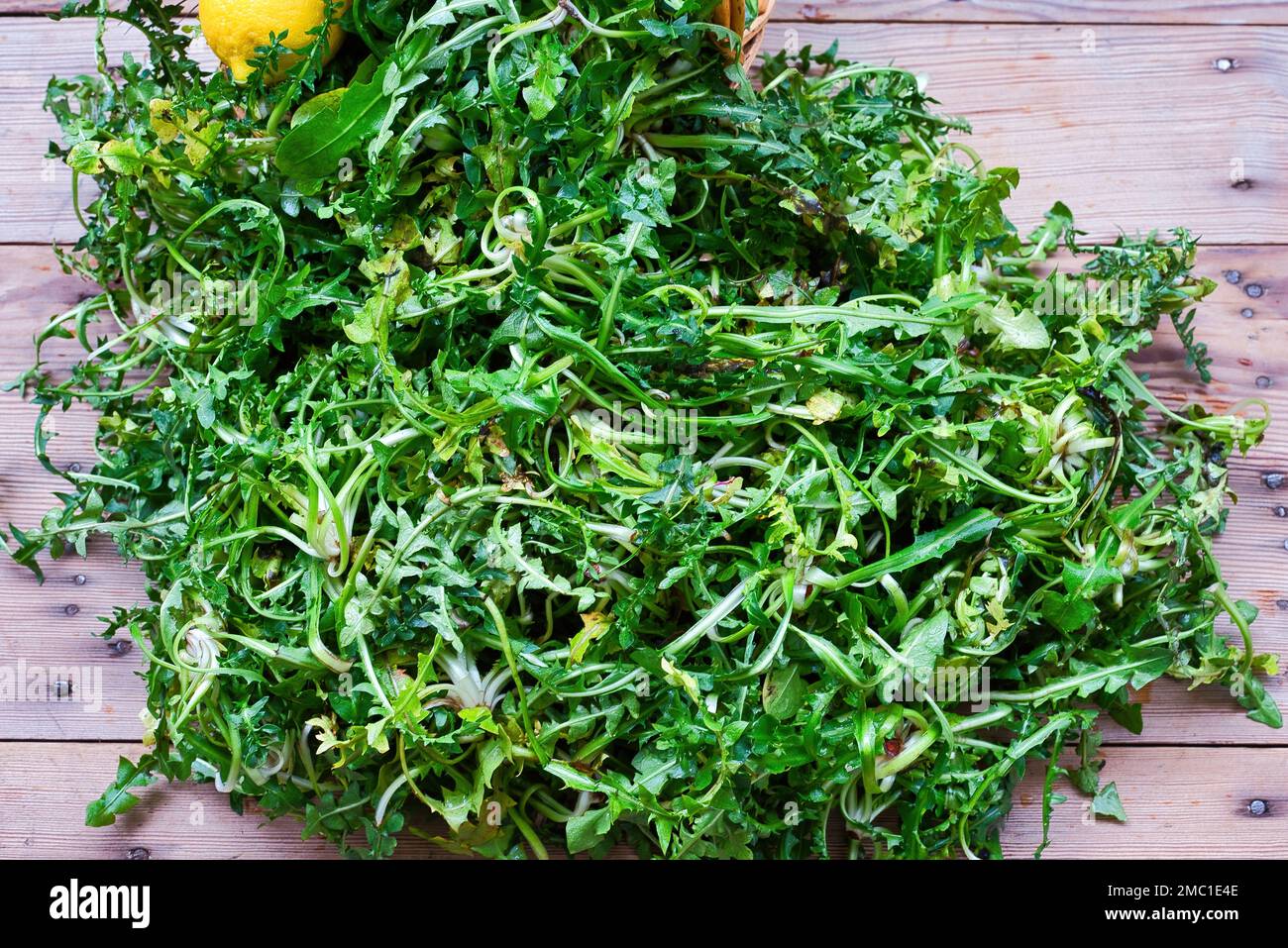 Wild Greens