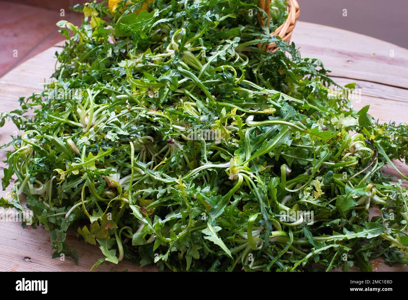 Wild greens ready to cook, the ultimate symbol of frugal healthy ...