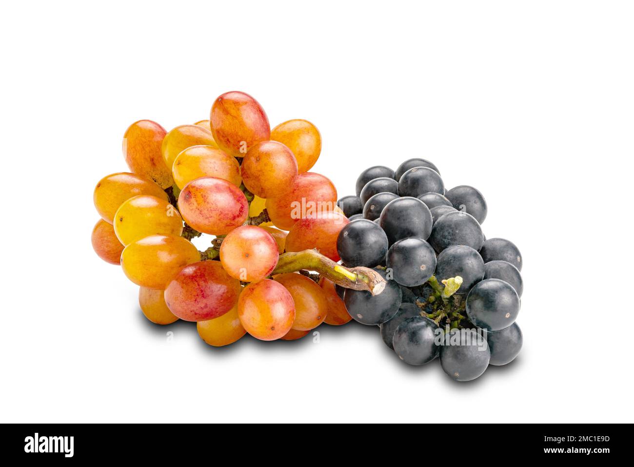 Bunch of ripe Crimson Seedless red grapes and black grapes isolated on white background with ...