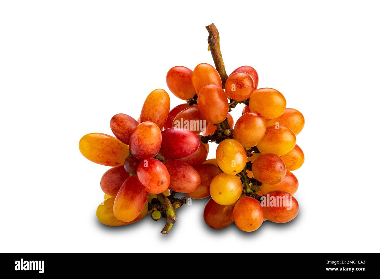 Bunch of freshly harvested ripe Crimson Seedless red grapes isolated on white background with ...