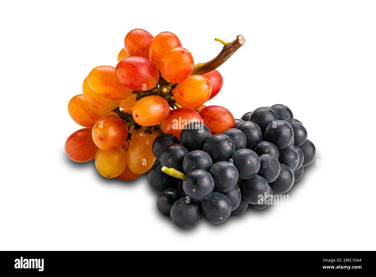 Bunch of ripe black grapes and Crimson Seedless red grapes isolated on white background with ...