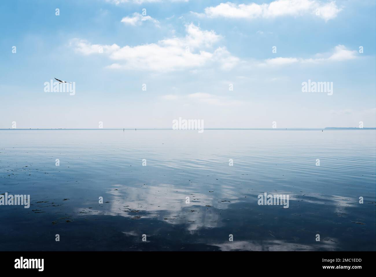 Calm sea under blue sky hi-res stock photography and images - Alamy