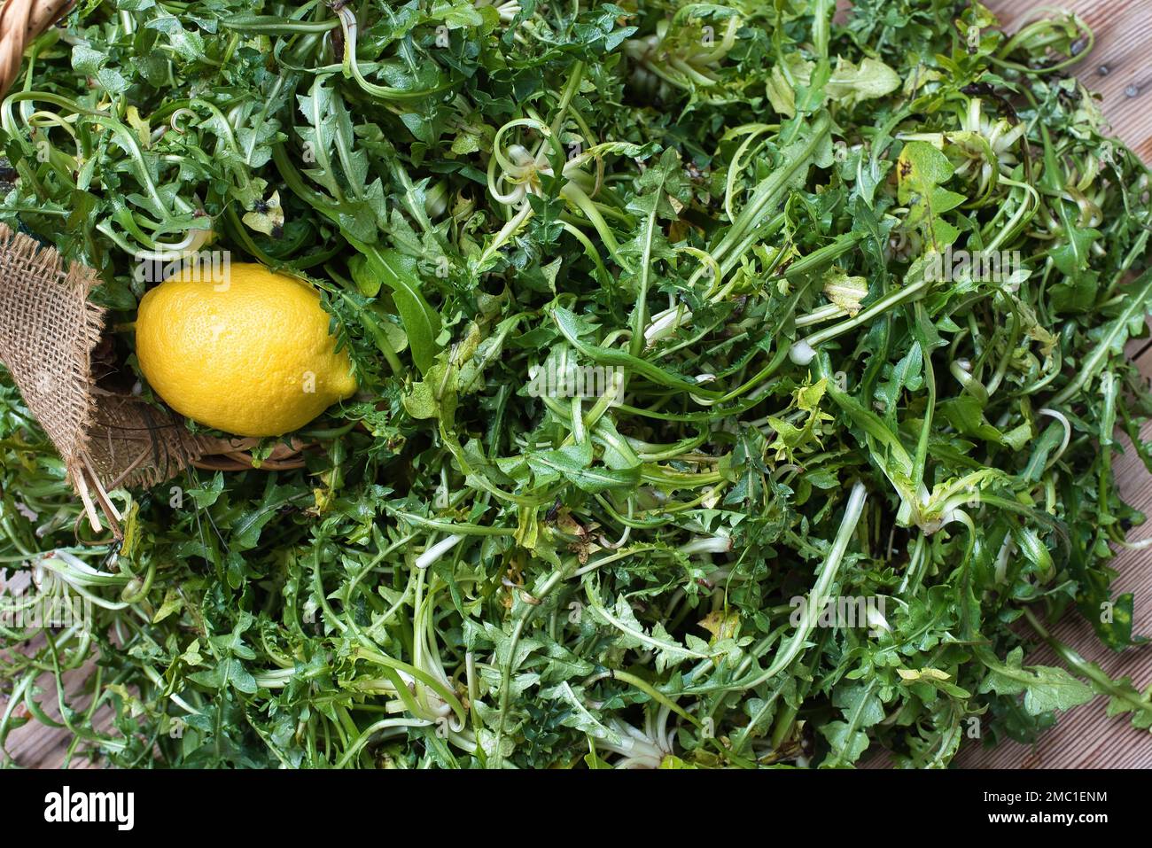 Wild greens ready to cook, the ultimate symbol of frugal healthy ...