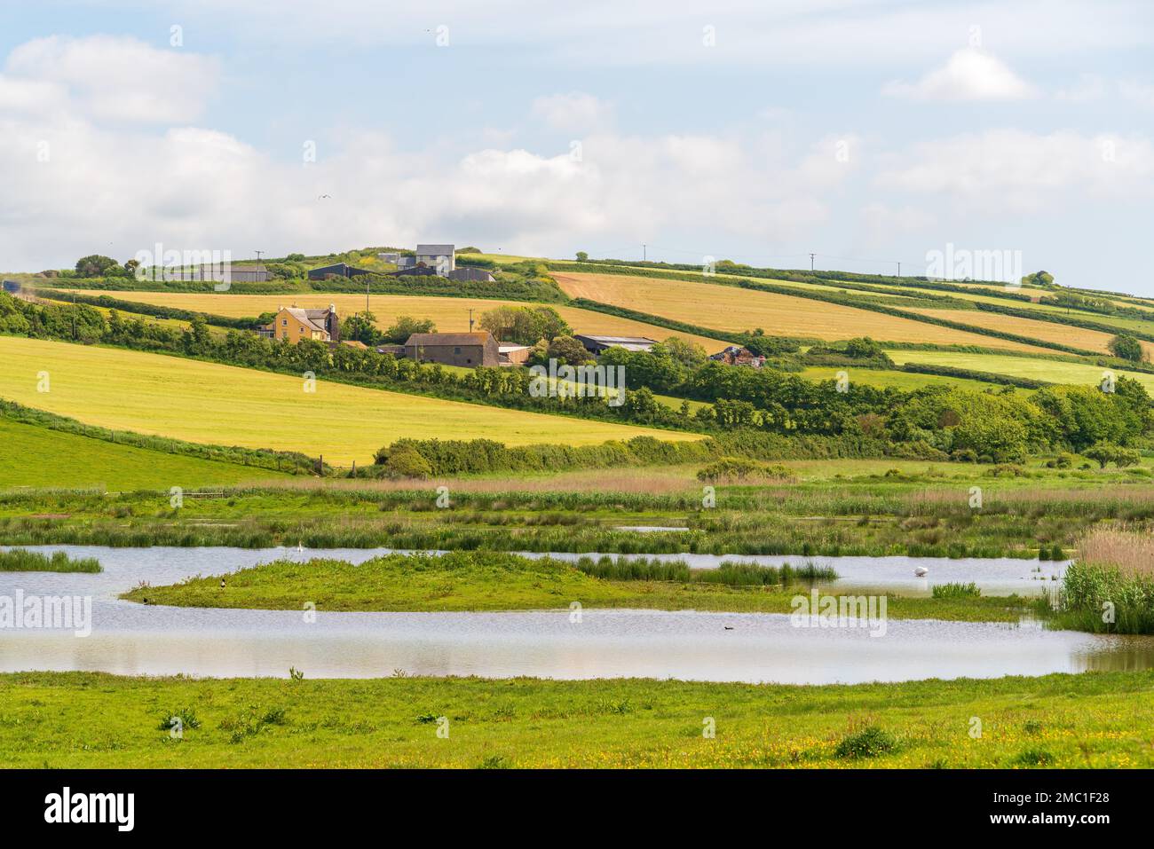 Scenic view of the countryside at South Huish Wetlands Reserve in Devon ...