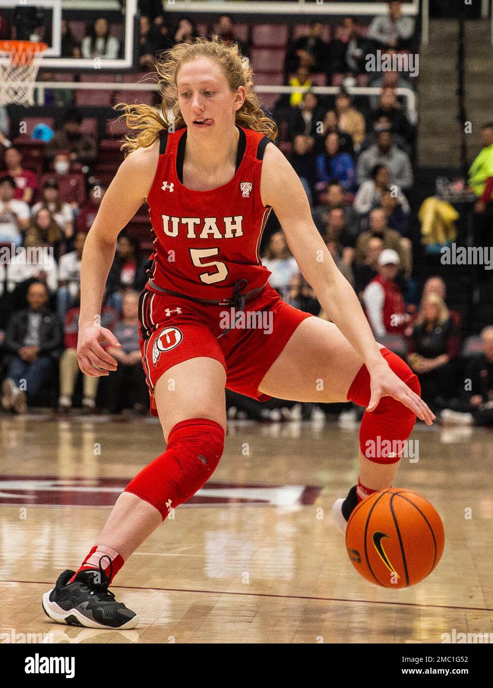 2023 0175 jpg hi-res stock photography and images - Alamy