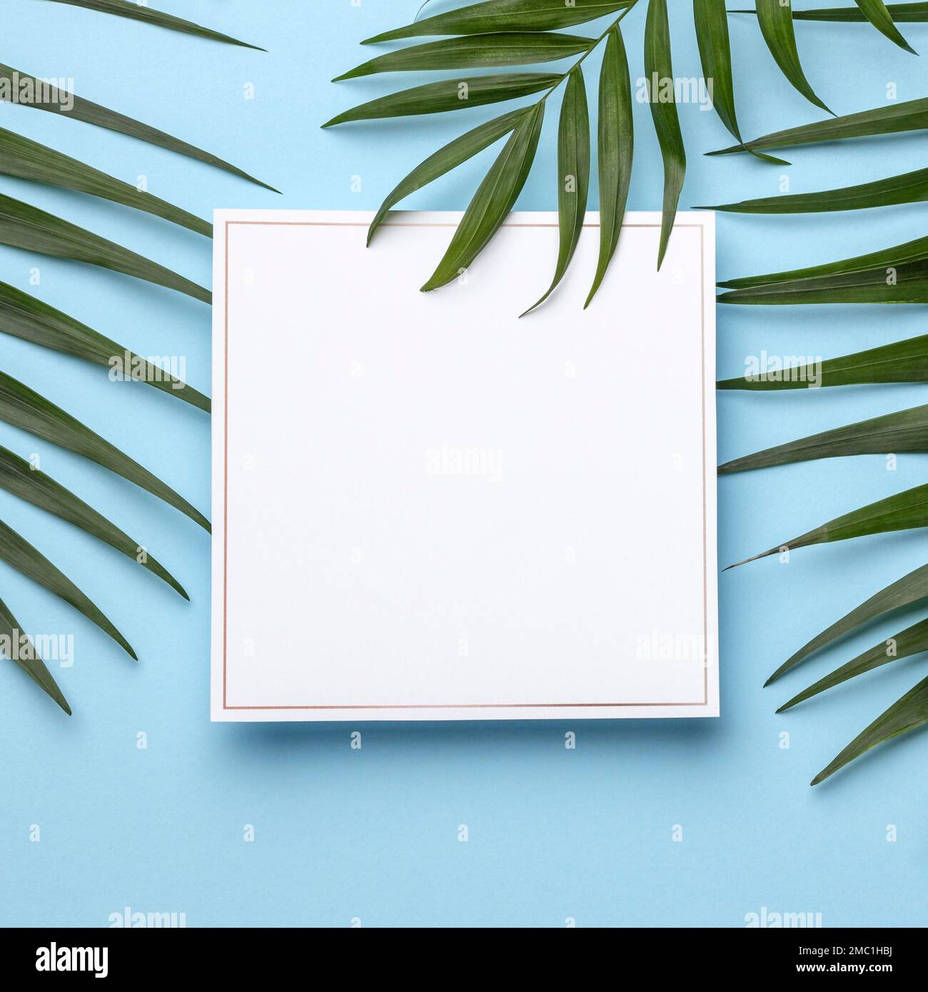 Assortment green leaves with empty frame Stock Photo - Alamy