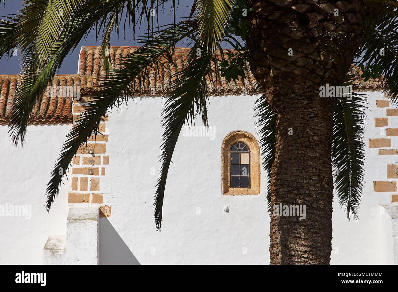 Betancuria, Church of Santa Maria de Betancuria, side view, palm tree ...