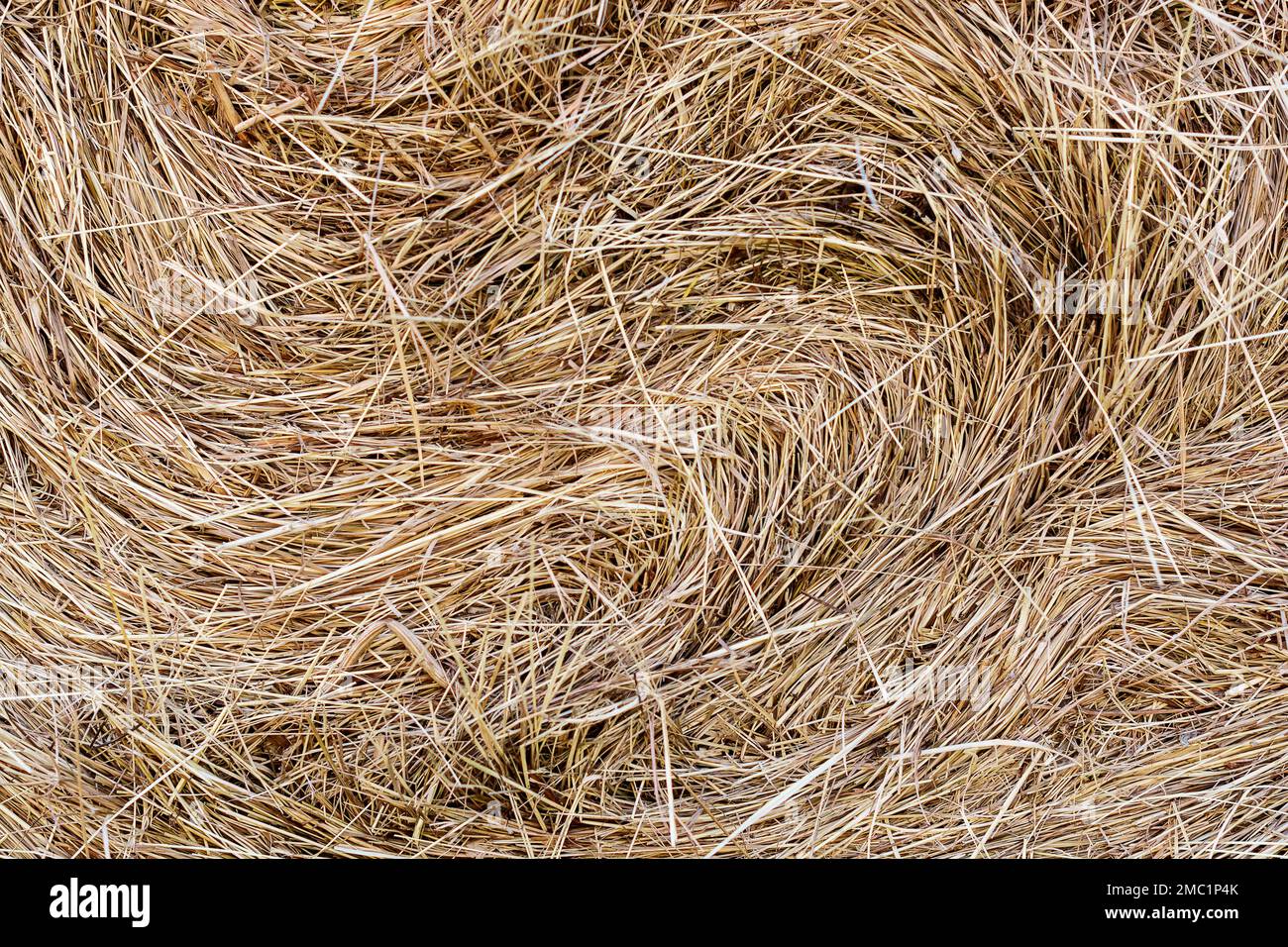 Straw frame hi-res stock photography and images - Alamy