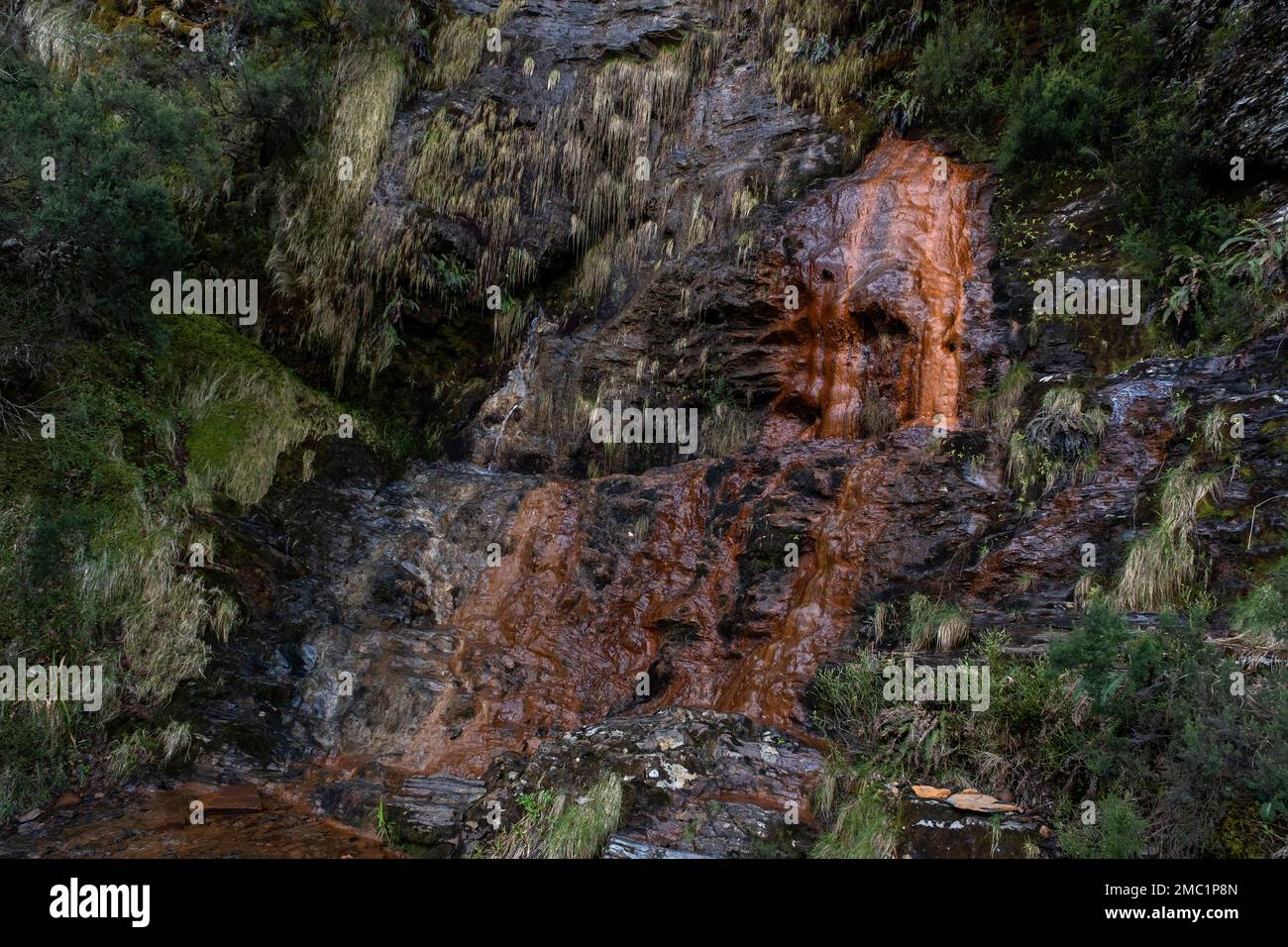 Fontes do Cervo natural springs with ferrous and hard water in Devesa ...