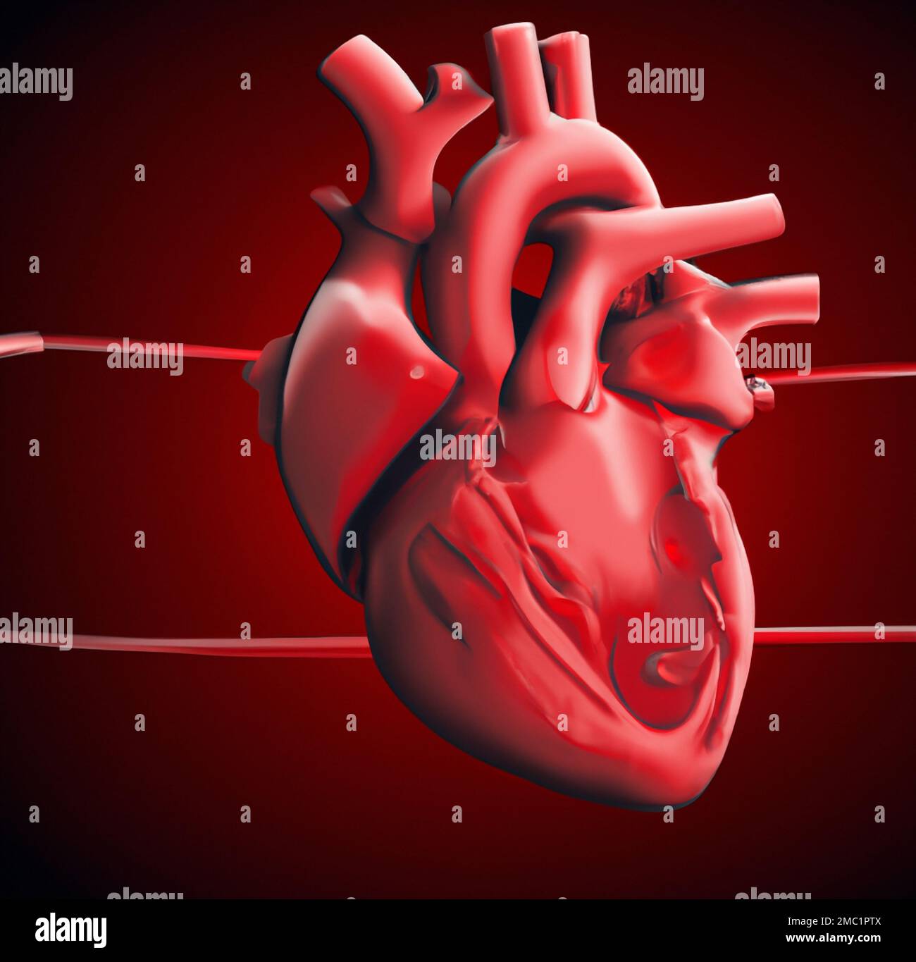 Heart anatomy 3d illustration isolated hi-res stock photography and ...