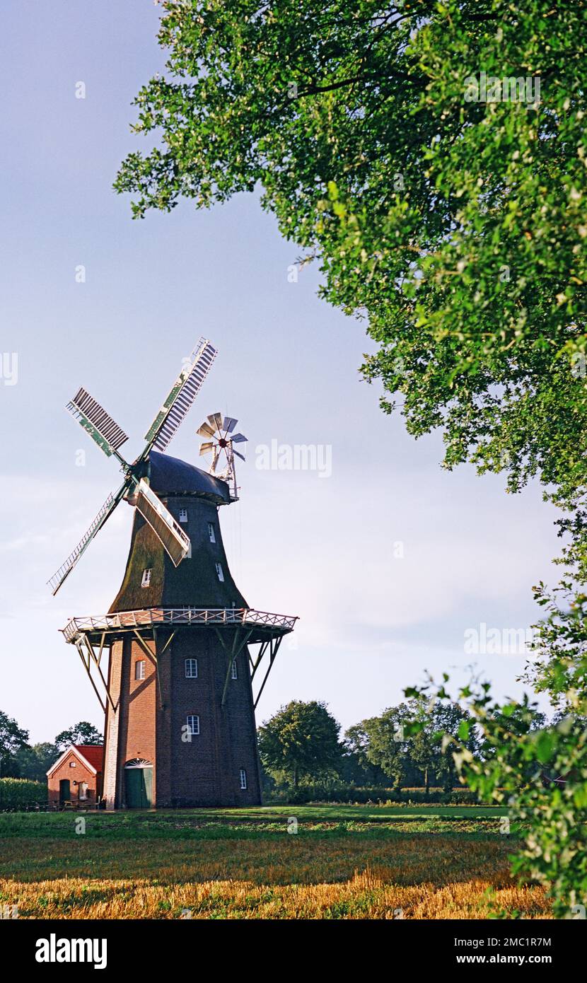 Holtland Mill, three-storey gallery holland, East Frisia, Lower Saxony ...