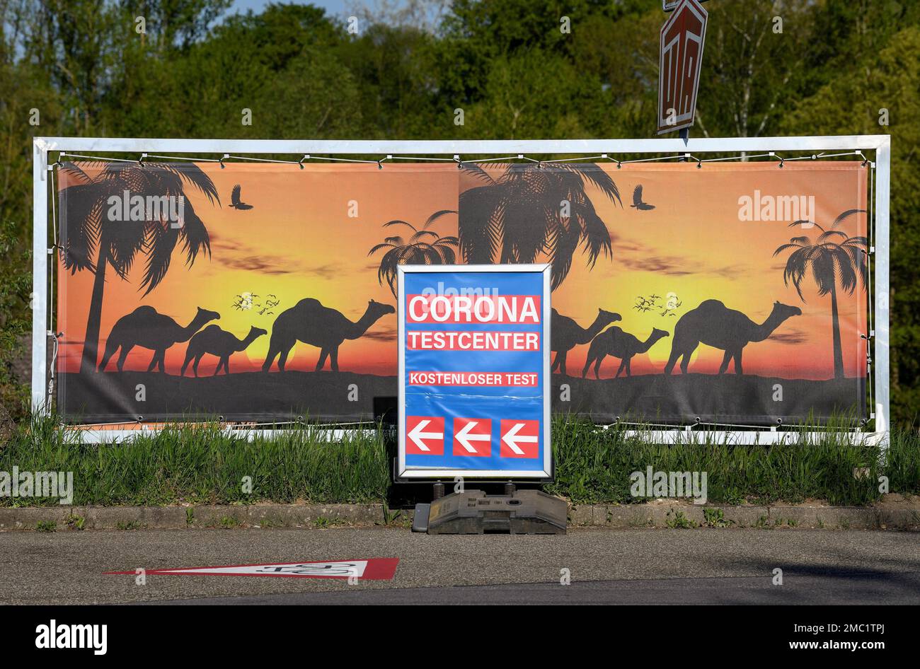Sign Corona Testcenter in front of camels, border crossing between ...