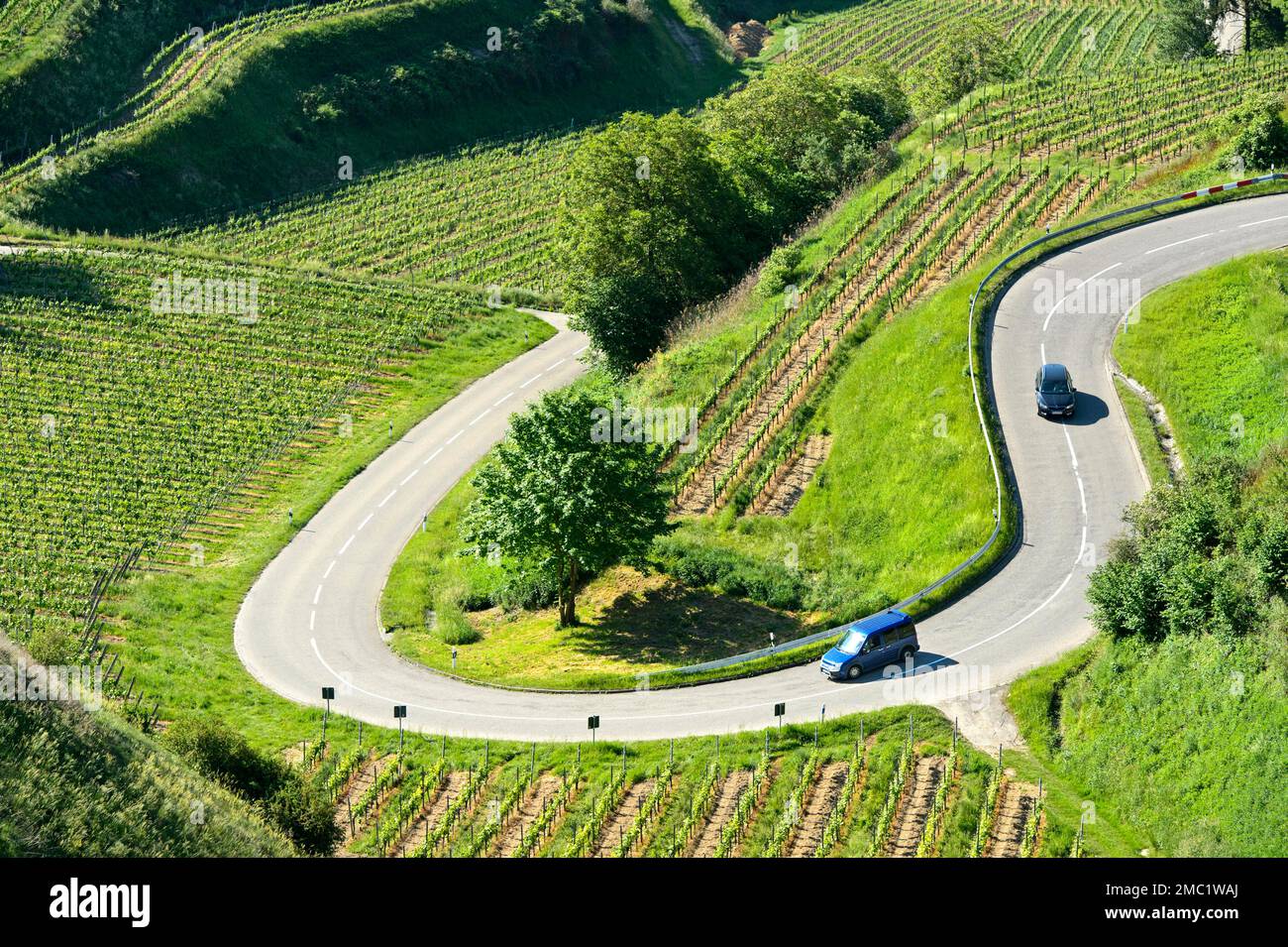 Serpentine of the district road K 4922 in the ascent to the Texas Pass ...