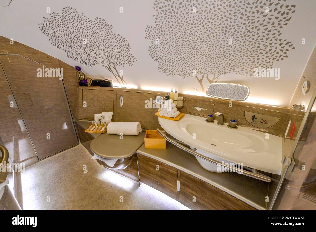 Shower, toilet, First Class, Airbus A380, Emirates Airline, 22. 06 ...