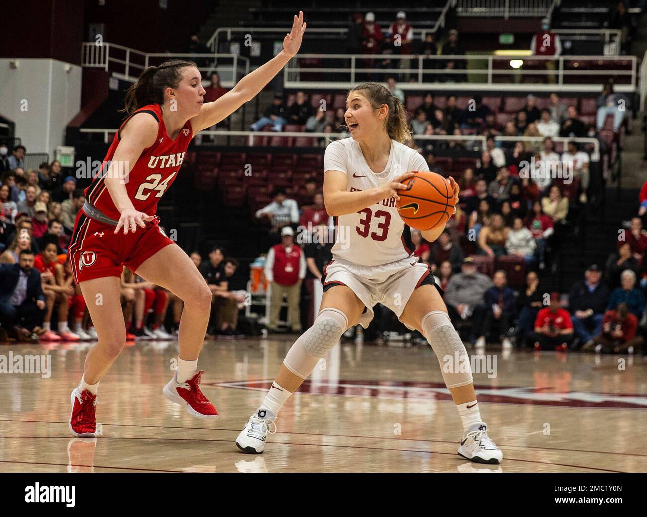 2023 0464 jpg hi-res stock photography and images - Alamy