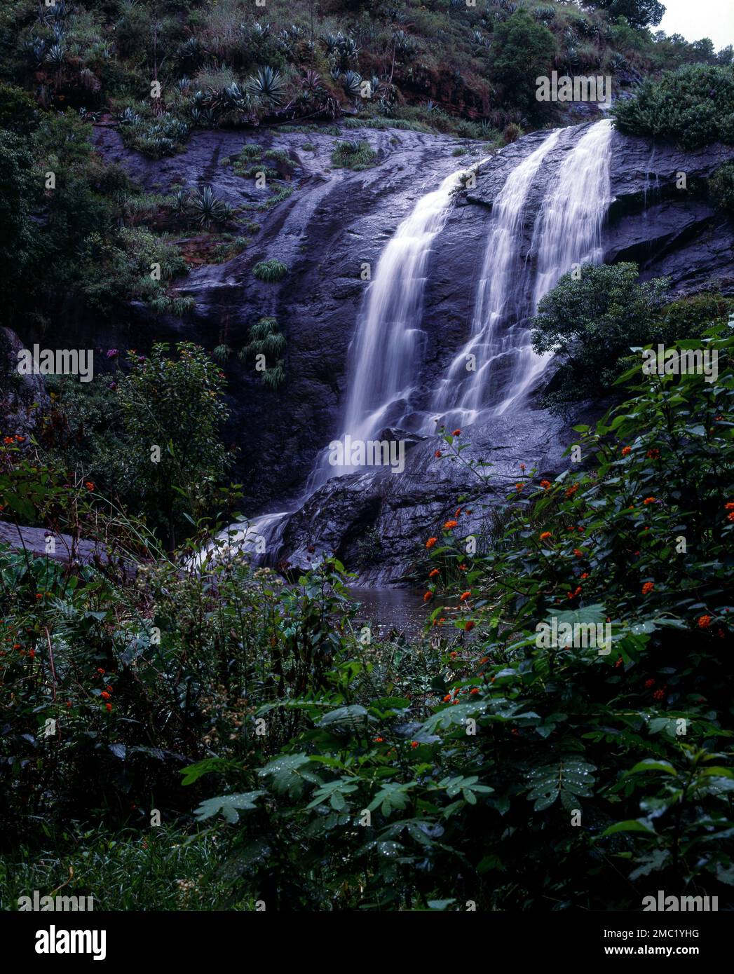 Kalahatti waterfalls in Nilgiris, Tamil Nadu, India, Asia Stock Photo ...