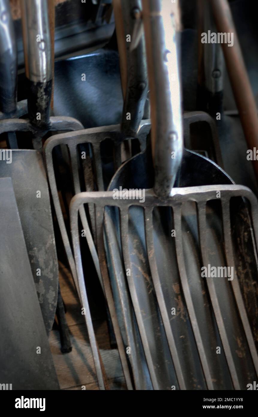 stack of traditional gardening forks and spades Stock Photo - Alamy
