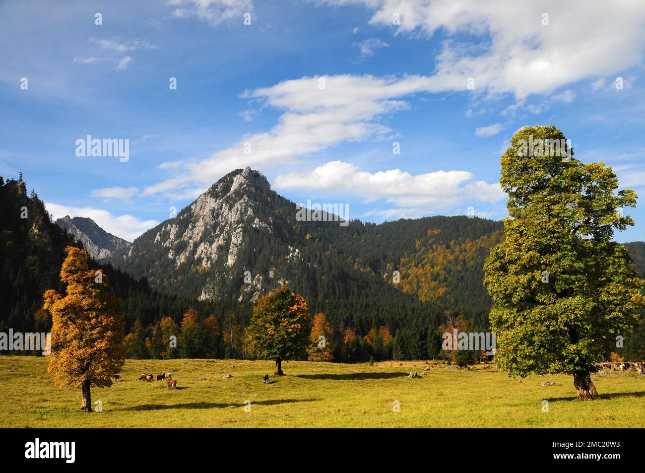 The Wanker spot above Halblech, Ammergau Alps, Allgaeu, Swabia, Bavaria ...