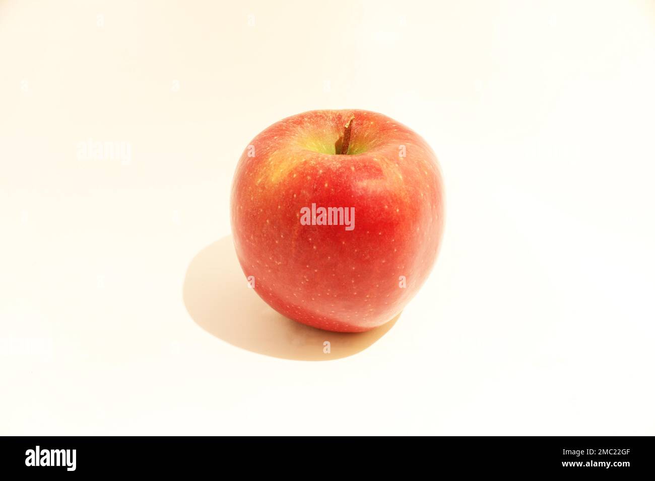 Apple tree (Malus Stock Photo - Alamy