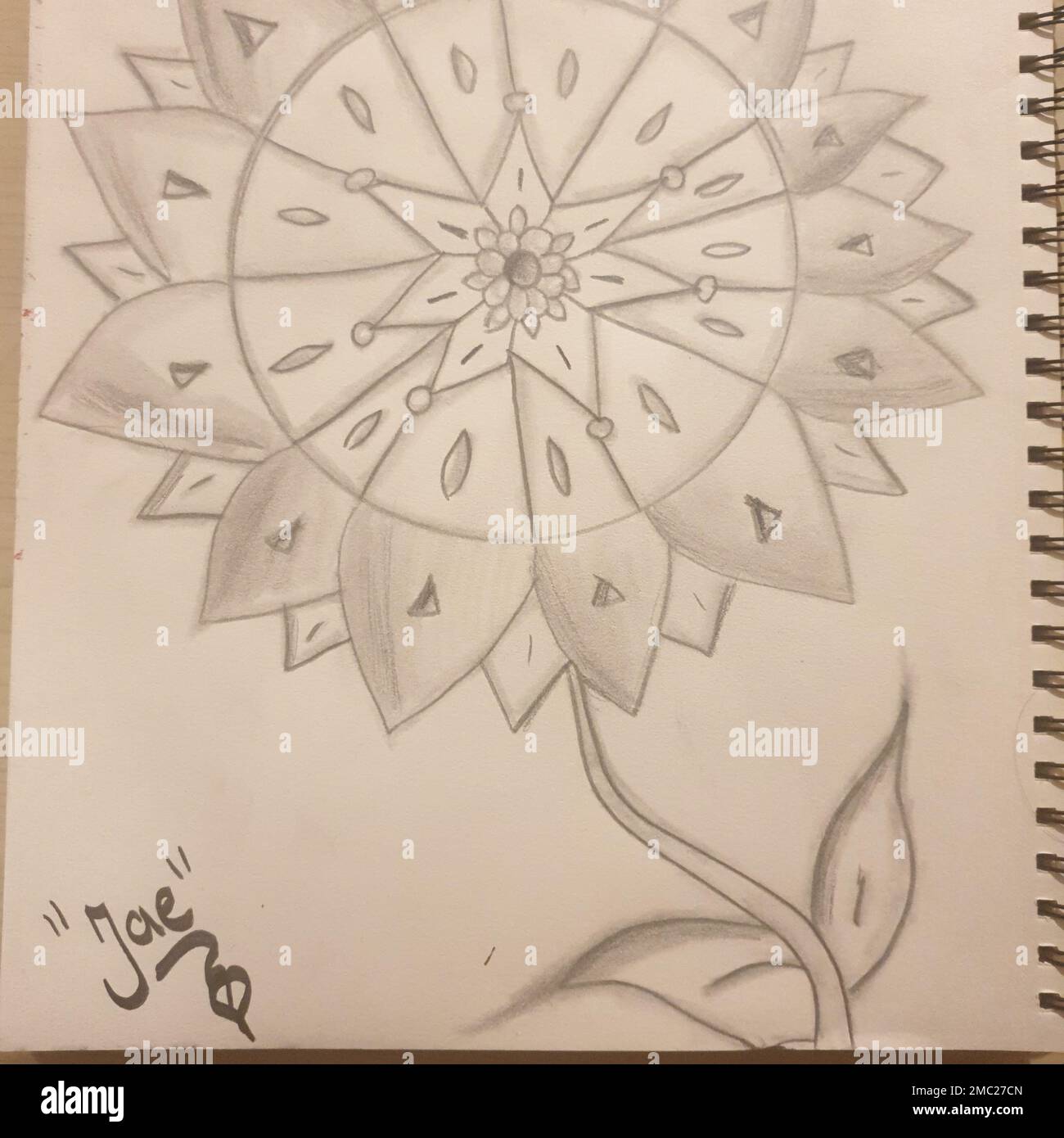 a sketch drawing of a flower Stock Photo - Alamy