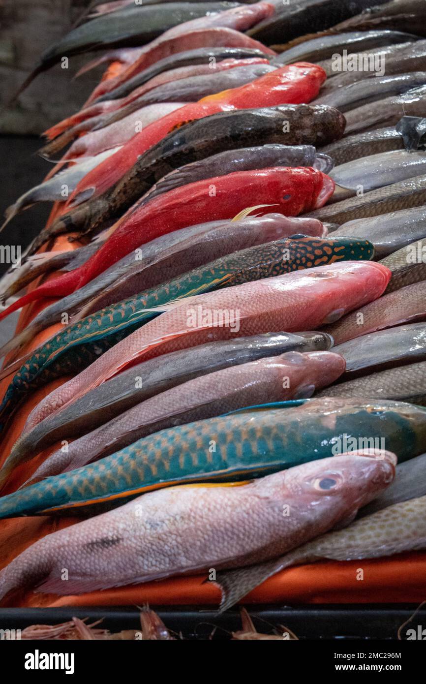 Fish Market Restaurant Kota Kinabalu Photos at Evie Beirne blog