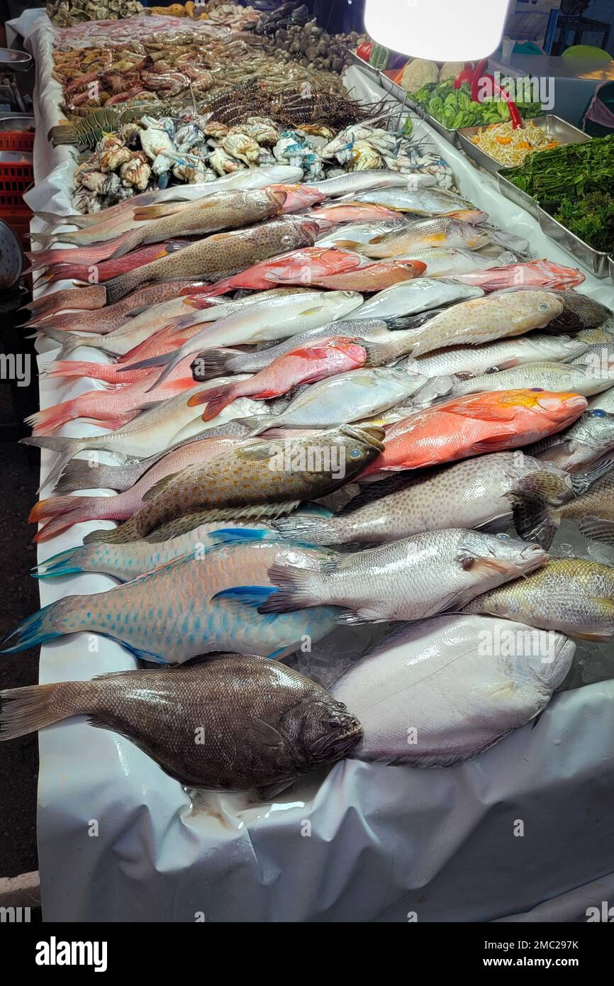 Fish Market Restaurant Kota Kinabalu Photos at Evie Beirne blog