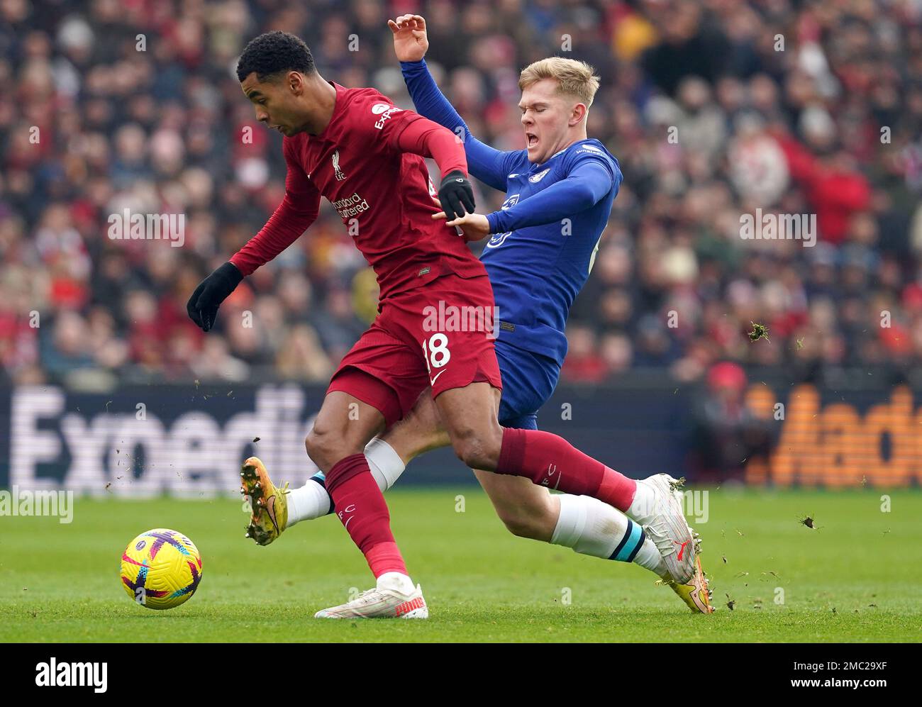 Liverpool's Cody Gakpo and Chelsea's Lewis Hall (right) battle for the ...