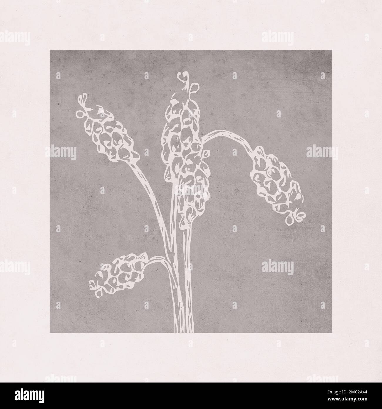 Printable trendy botanical card. Use for cover, wallpaper, wall art ...