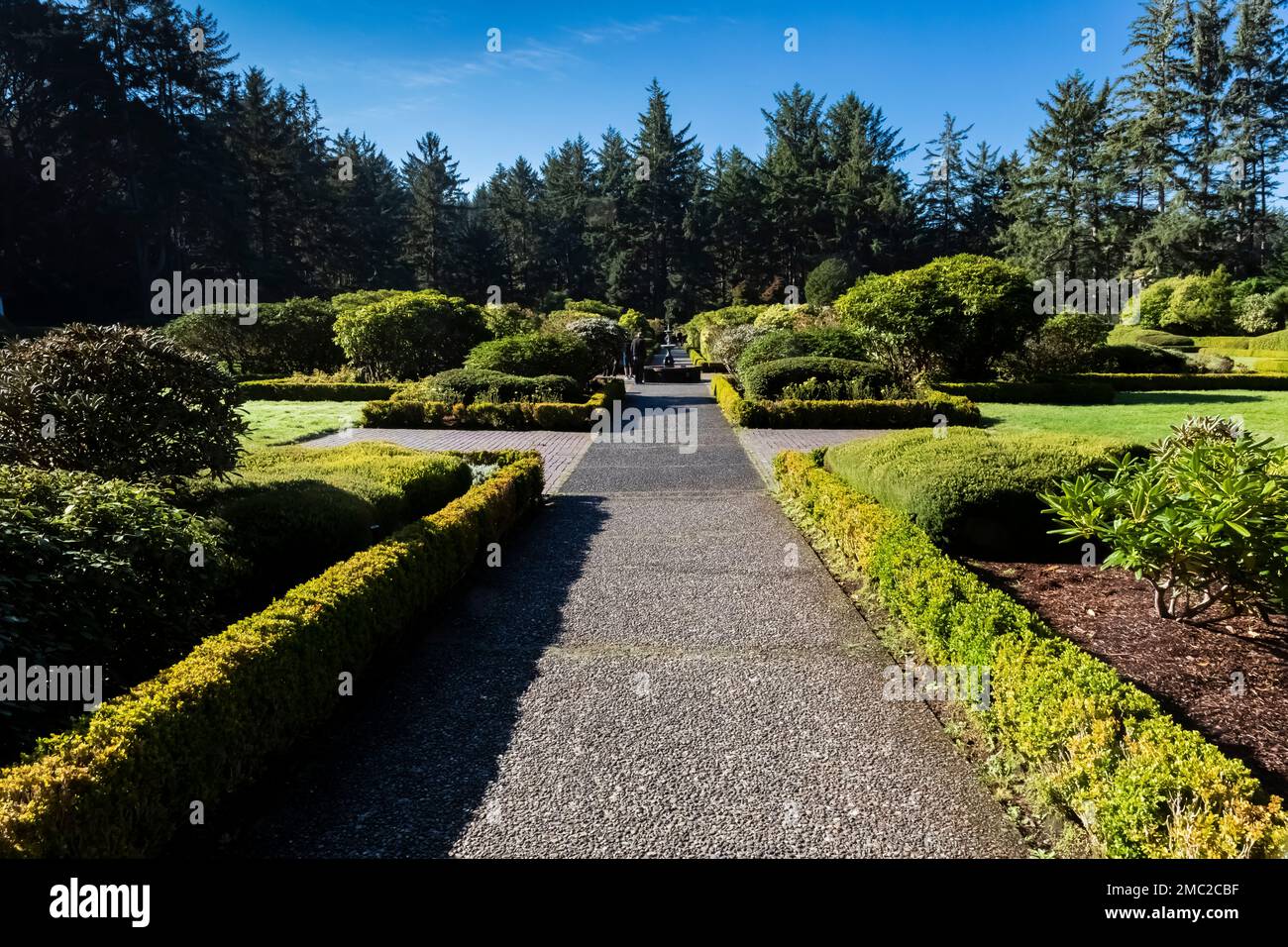 Simpson Botanical Garden