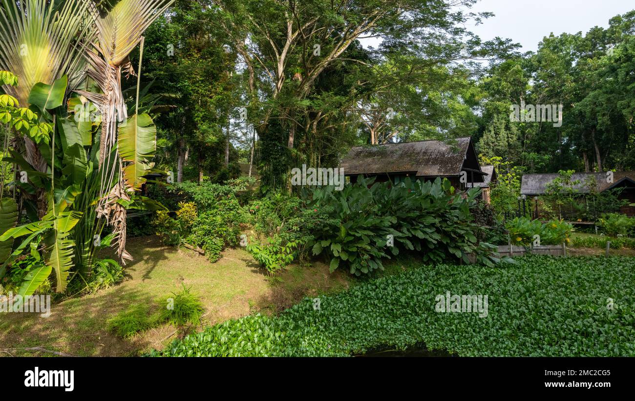 Sepilok Nature Resort, Sandakan, Borneo Stock Photo - Alamy