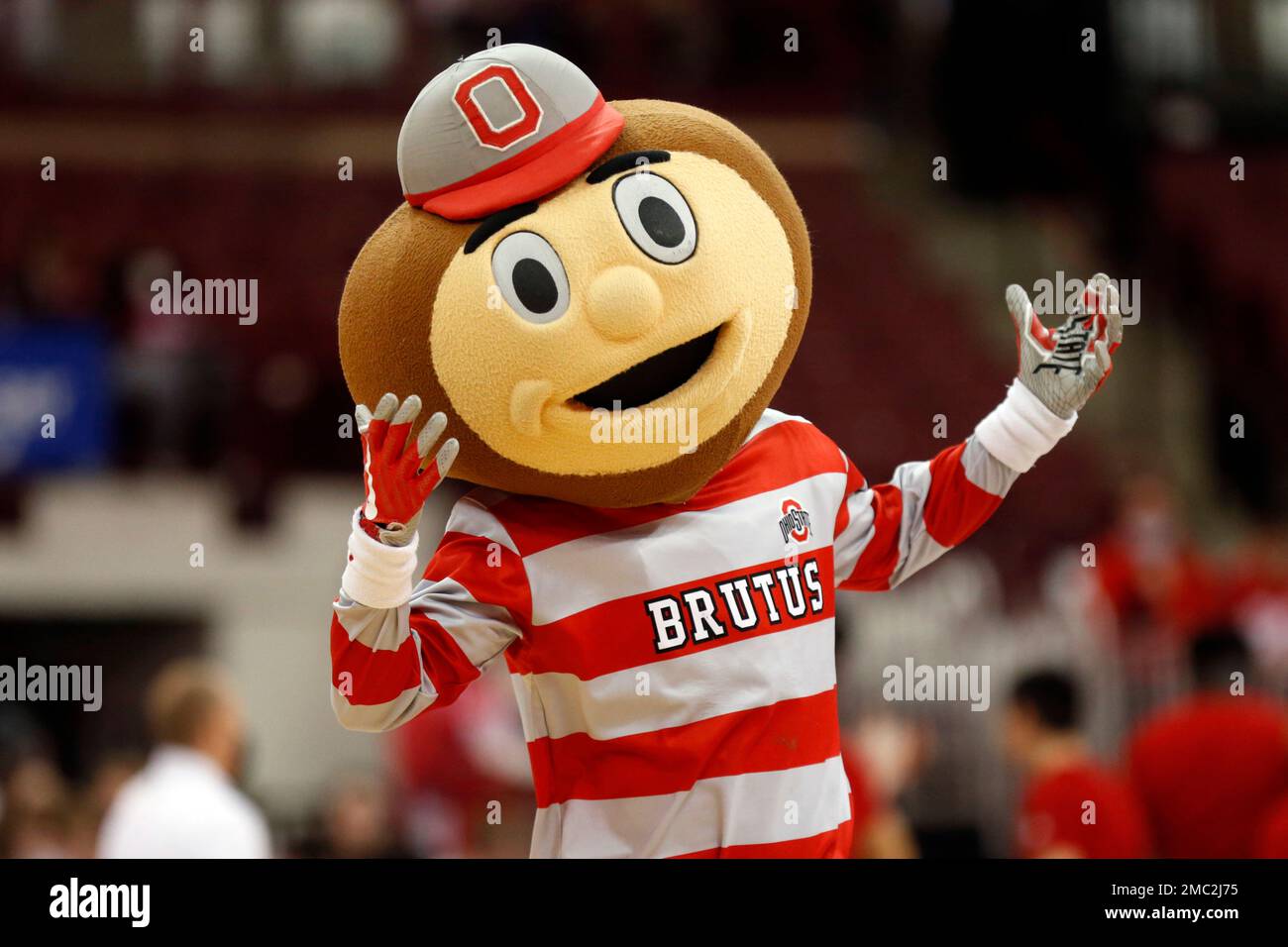 Brutus Buckeye Logo