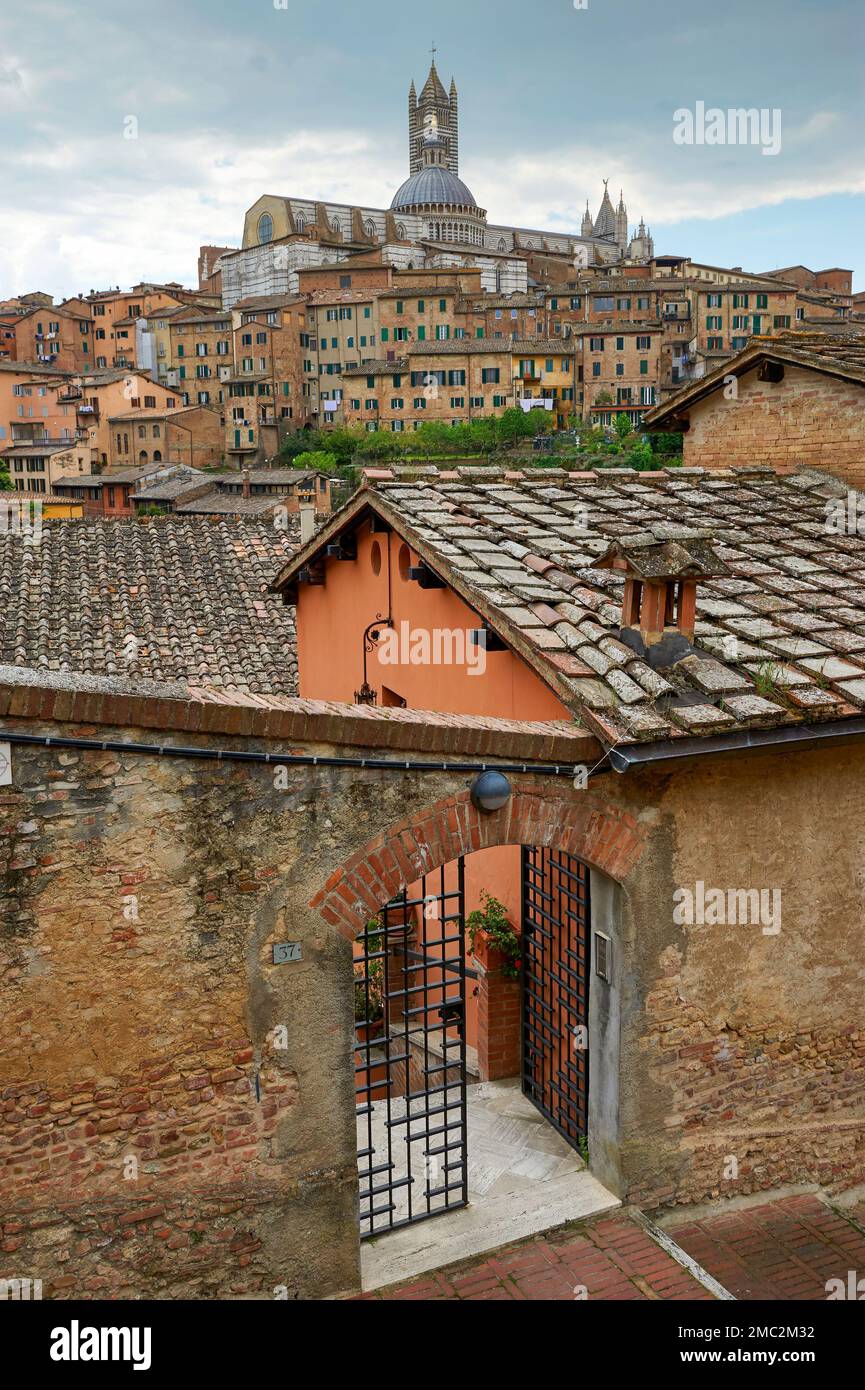 Siena old town hi-res stock photography and images - Alamy
