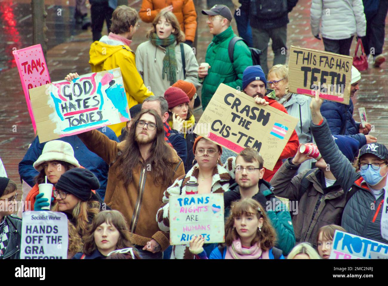 Trans woman isolated hi-res stock photography and images - Alamy