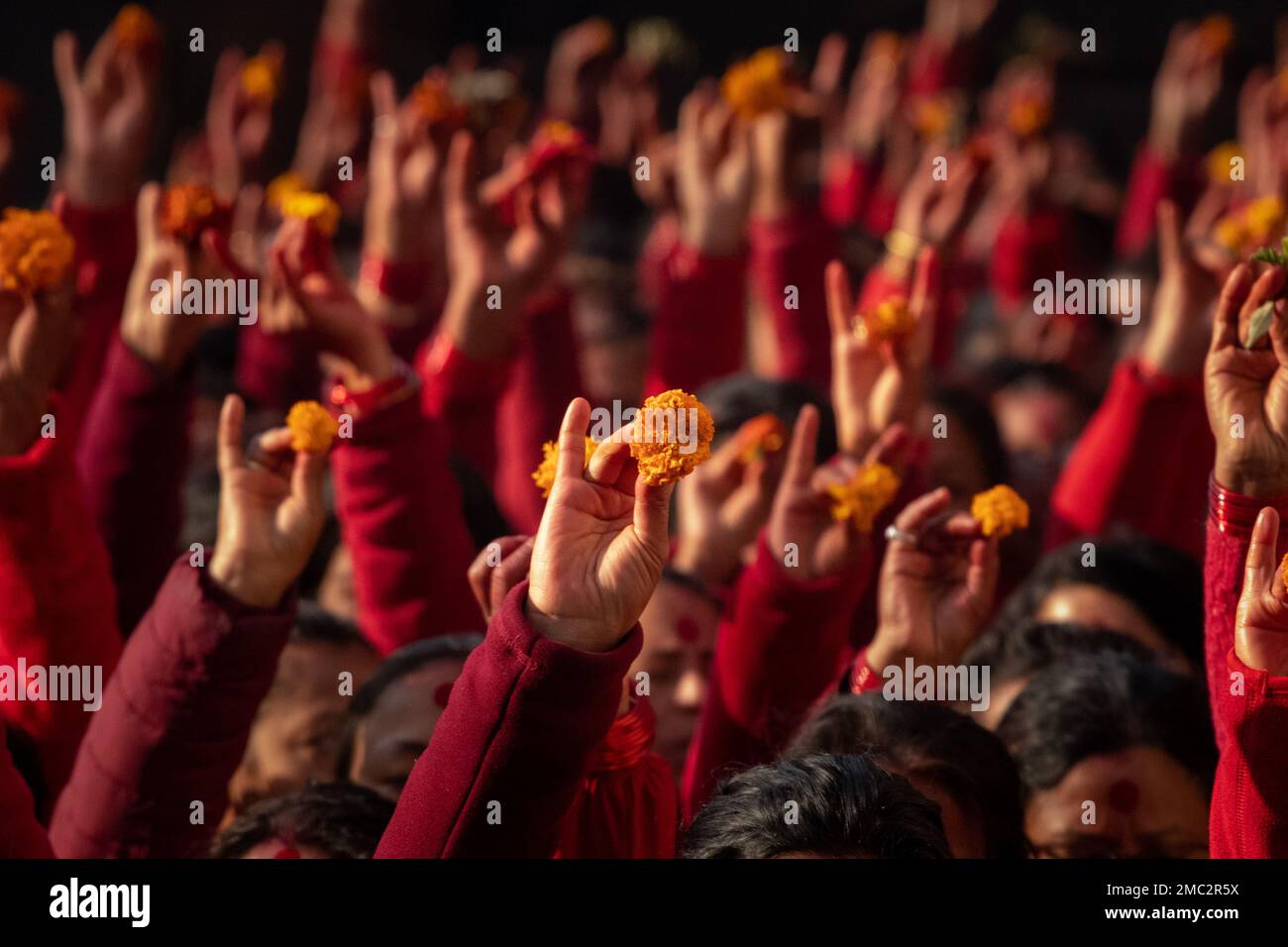 Kathmandu, Nepal. 21st Jan, 2023. On january.21, 2023 in Kathmandu ...