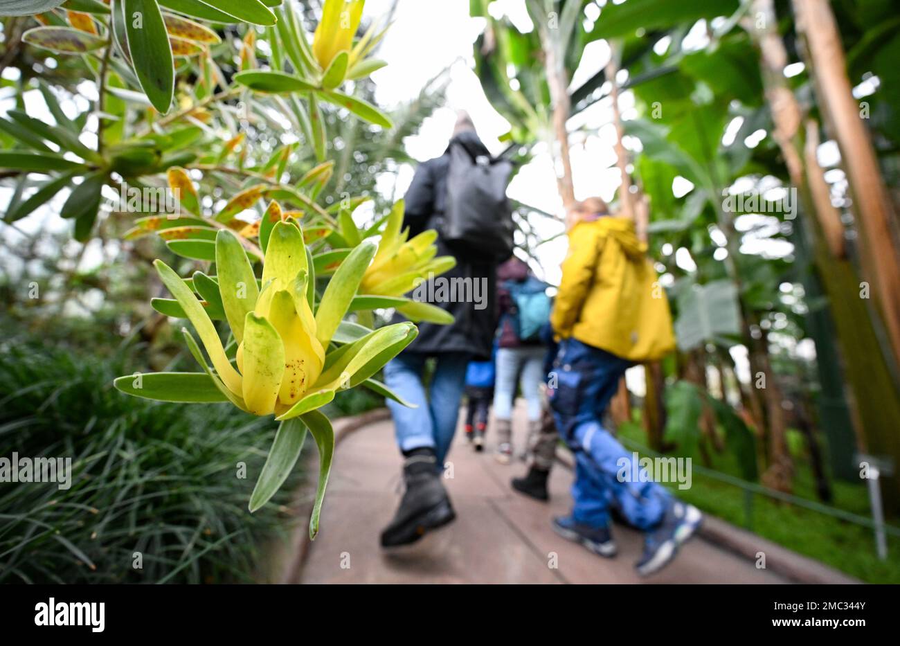 Stuttgart, Germany. 21st Jan, 2023. In sub-zero winter temperatures ...