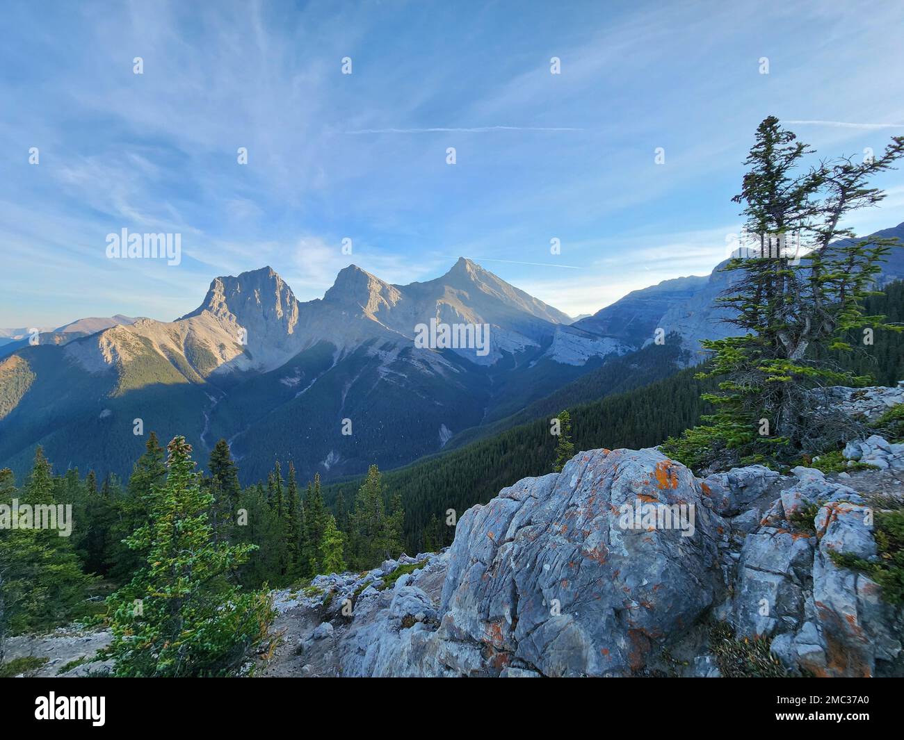 A beautiful landscape over the wide forest with mountains in the sunny ...