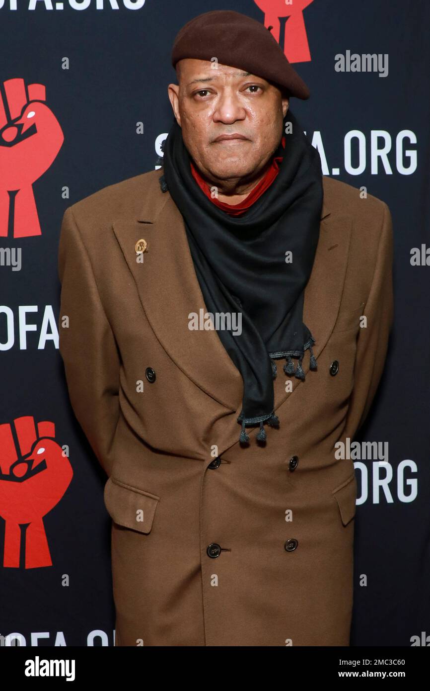Laurence Fishburne attends the Harry Belafonte HB95 benefit tribute, in ...