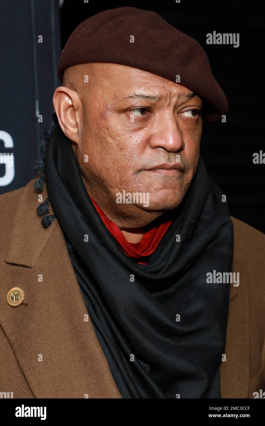 Laurence Fishburne attends the Harry Belafonte HB95 benefit tribute, in ...