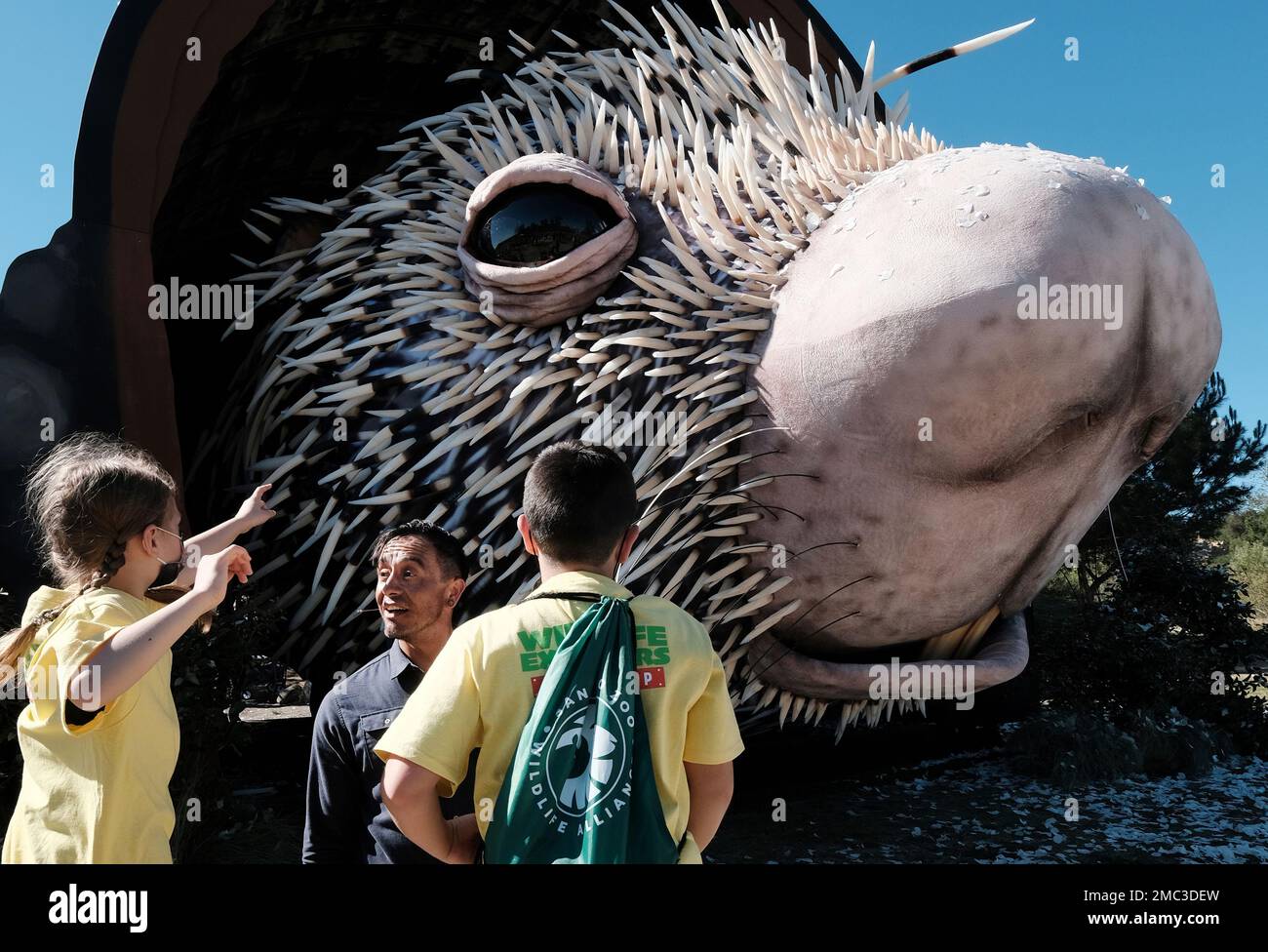 Wildlife Ambassador Marco Wendt talks with Los Angeles school children ...
