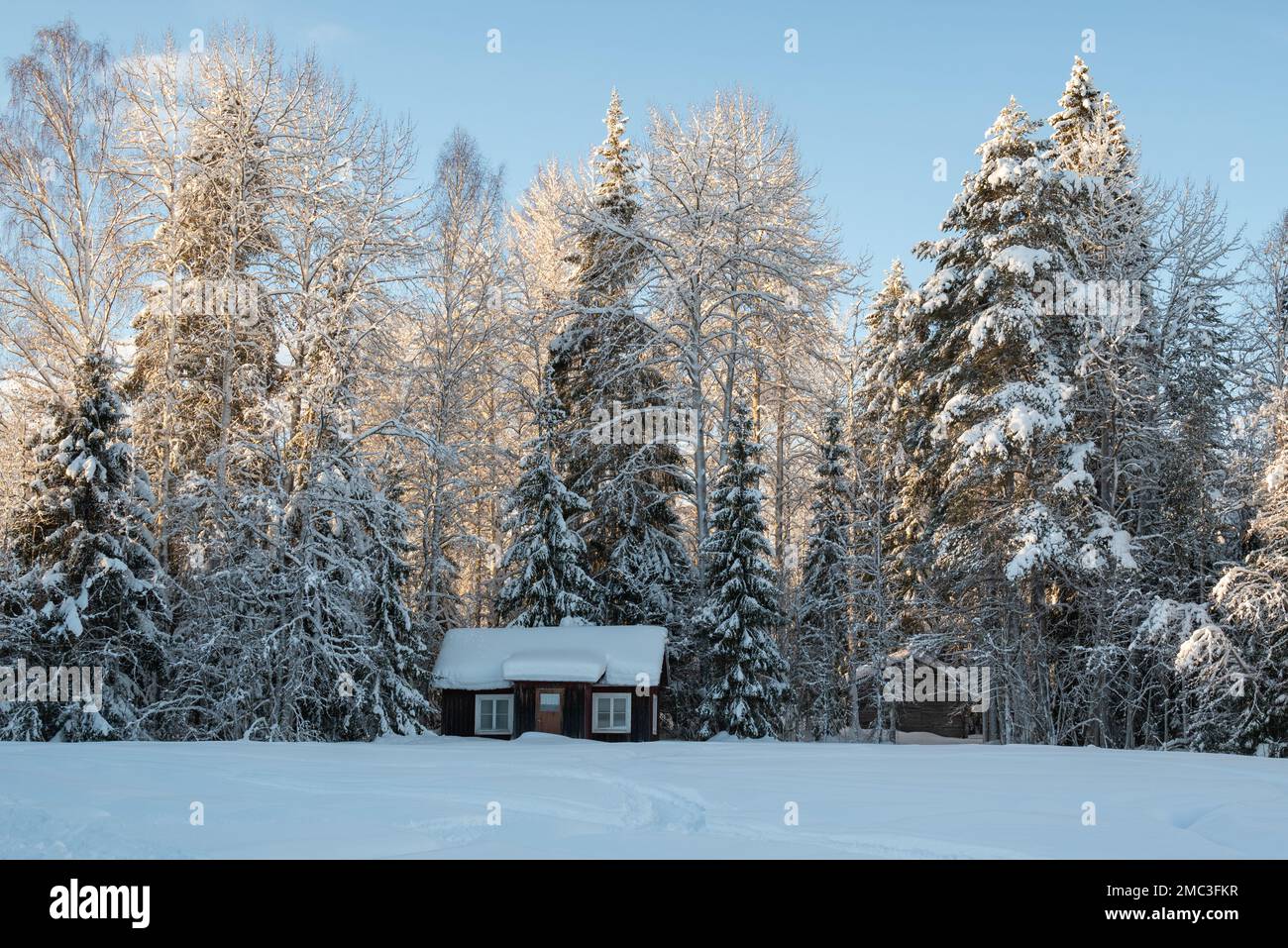 The pale winter sun The sun almost reaches the small cabin at the edge ...