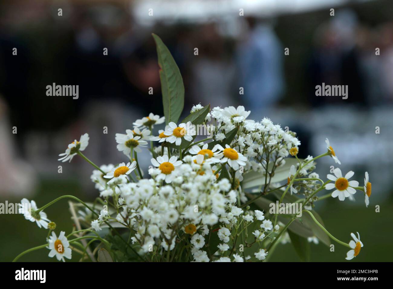 Wedding Background Image, Summer Celebration Outdoors Stock Photo - Alamy