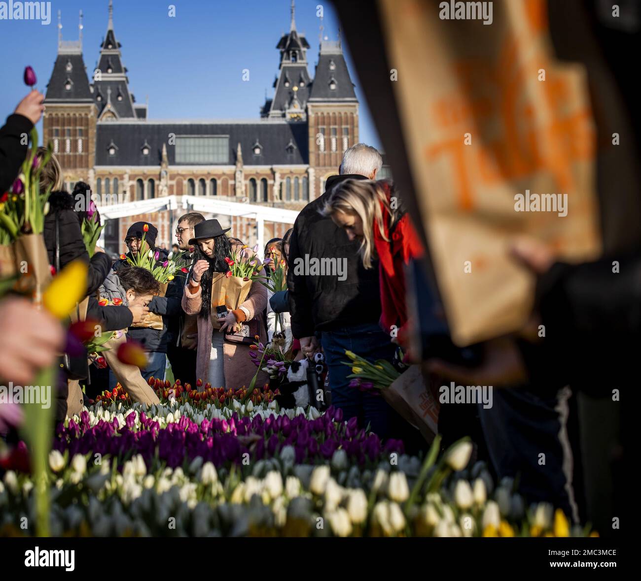 AMSTERDAM - Visitors pick tulips in the picking garden during the ...