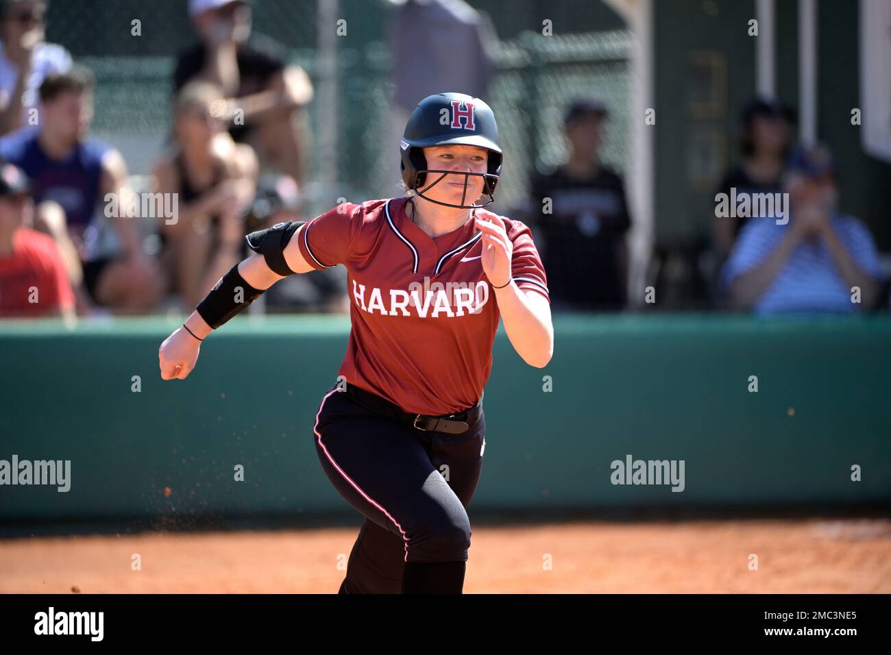 Harvard's Savannah Fitzpatrick (25) during an NCAA softball game ...