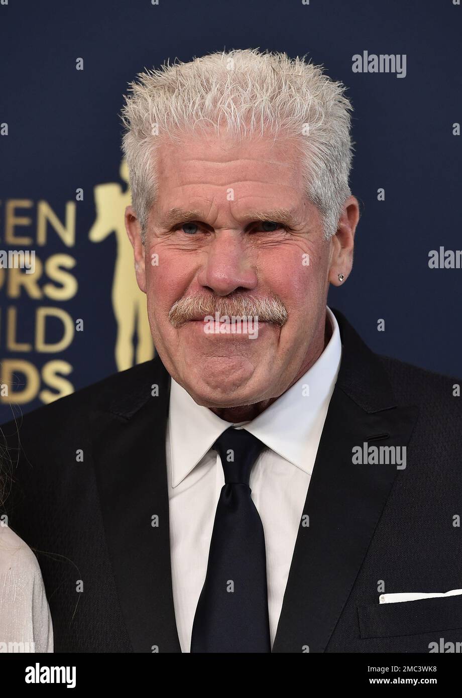 Ron Perlman arrives at the 28th annual Screen Actors Guild Awards at ...