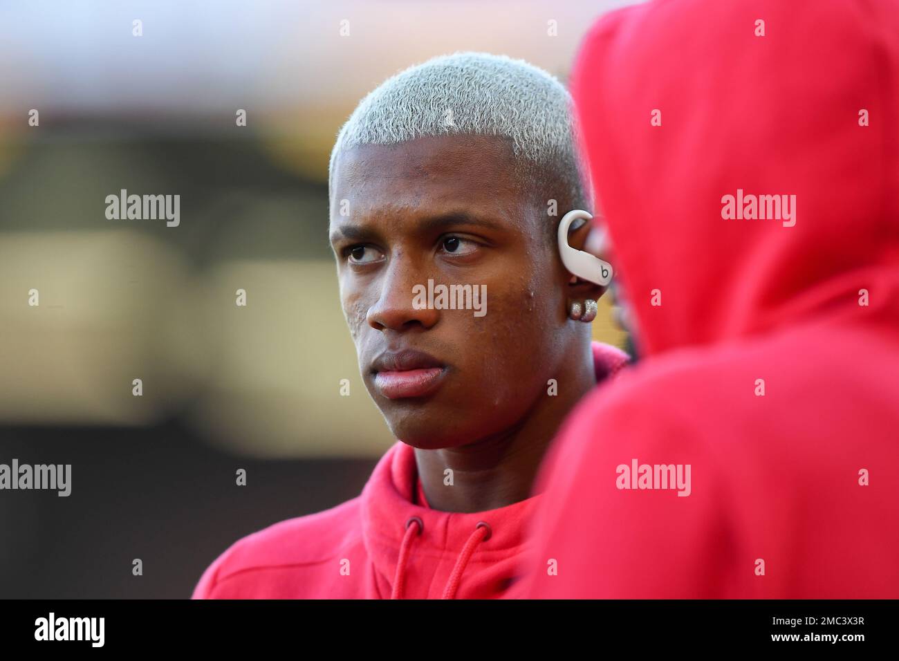 Danilo forest hi-res stock photography and images - Alamy