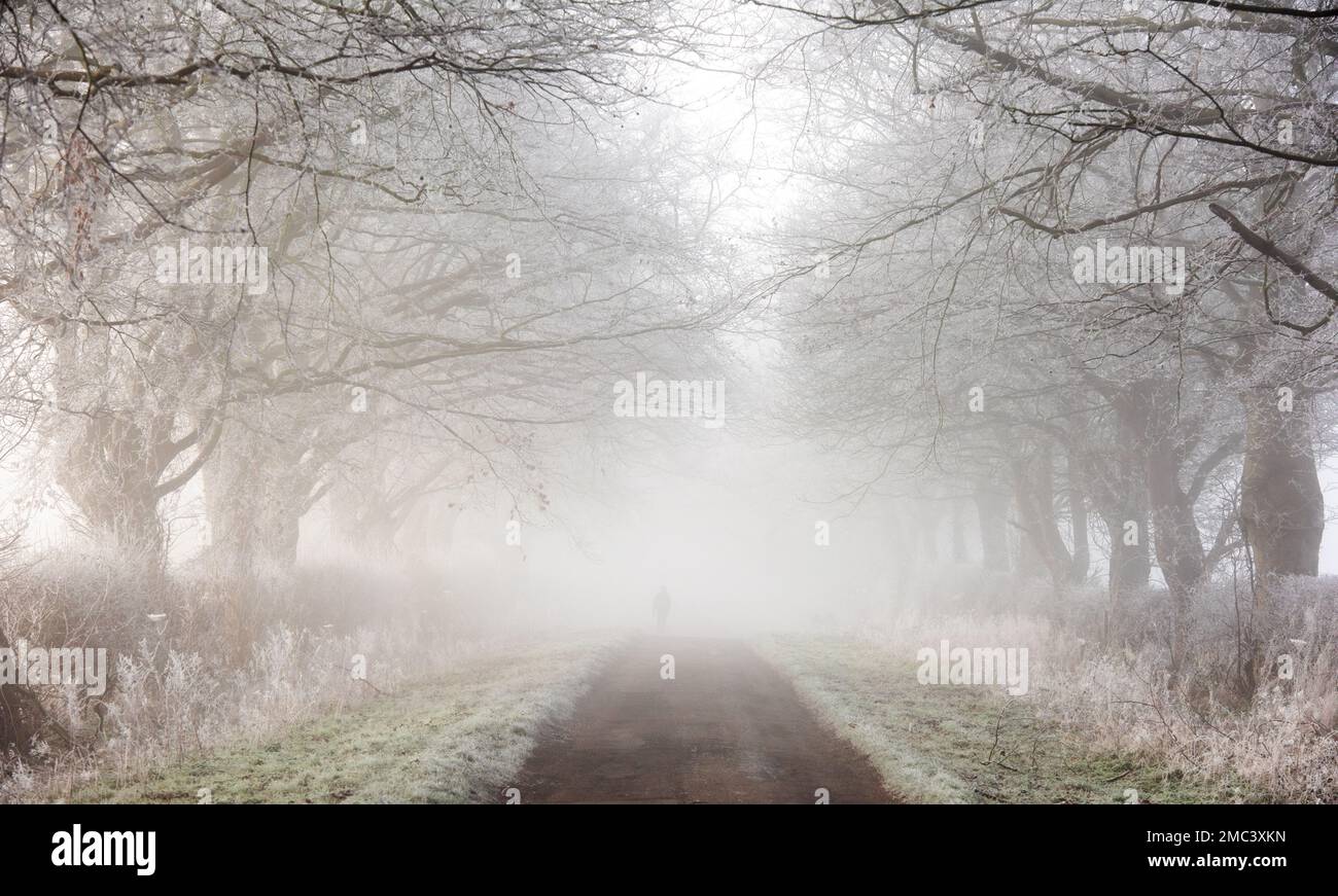Whatton-in-the-Vale, Nottinghamshire, UK. 21st Jan 2023. A hiker ...
